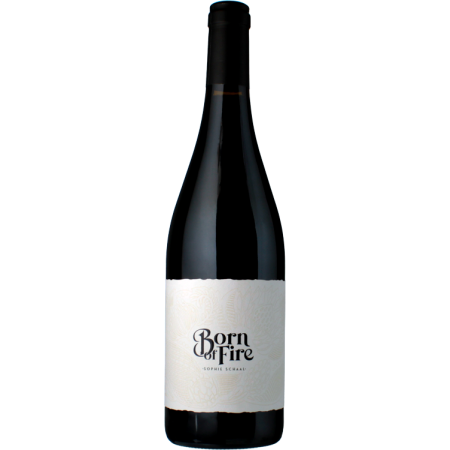 Born Of Fire Syrah - Julien Schaal 2024 - Vins Schaal (Sophie & Julien)